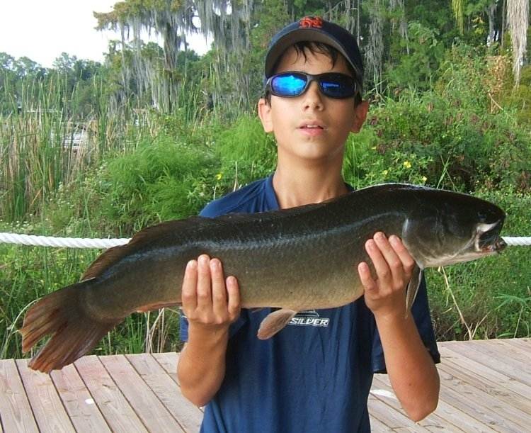 Fishing in Florida reserve on Bass