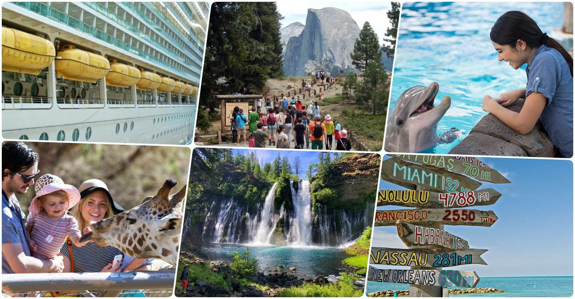 Cruises, Tours, Excursions & Travel Agents